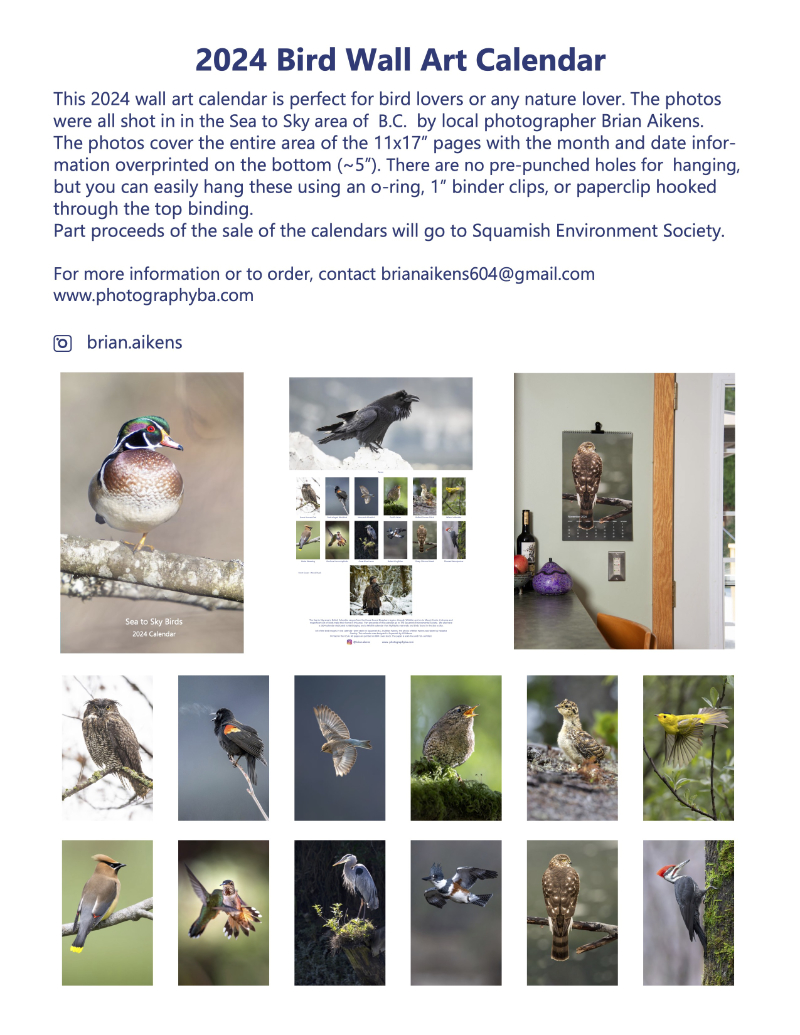 2024 Wildlife Art Calendars from Brian Aikens Photography – Squamish ...